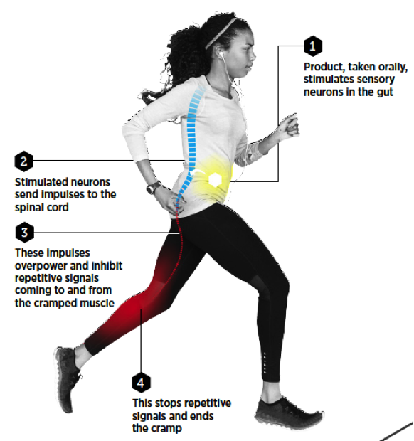 How Athletes Can Prevent Muscle Cramps | BridgeAthletic