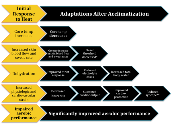 How to Beat the Heat in Training and Competition: Part 1 - Acclimatization