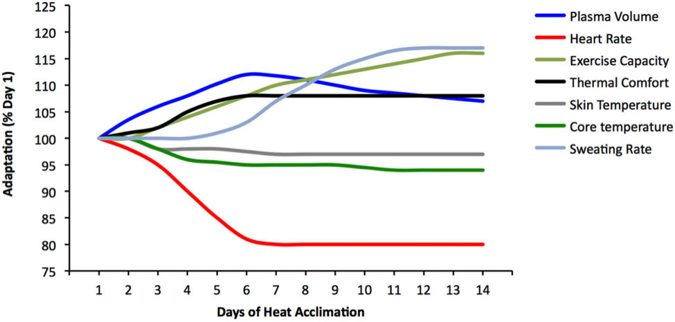 How to Beat the Heat in Training and Competition: Part 1 - Acclimatization