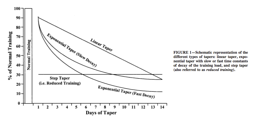 Understanding the Tapering Process: A Guide for Athletes