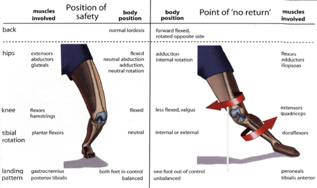 ACL Injury Prevention